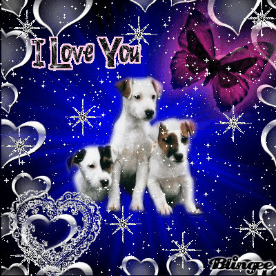 Blingee GIF - Find on GIFER