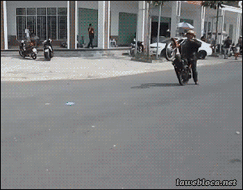 Omg motorcycle GIF - Find on GIFER
