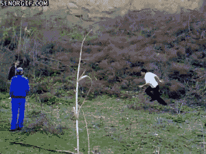 Fail water jumping GIF - Find on GIFER