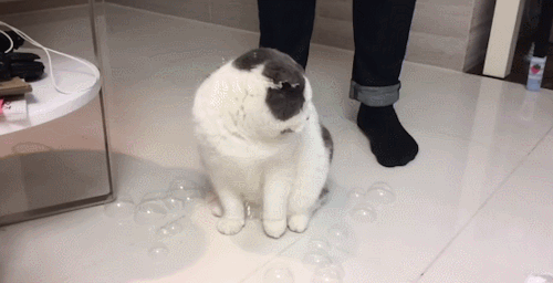 Mother of dragons GIF - Find on GIFER