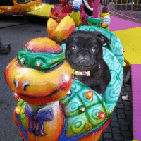 Rides GIF - Find on GIFER