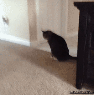 GIF itchy scratchy - animated GIF on GIFER