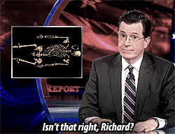 Stephen colbert the colbert report sc GIF - Find on GIFER