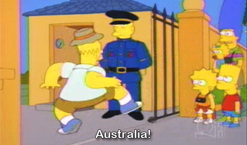 Reddit GIF - Find on GIFER