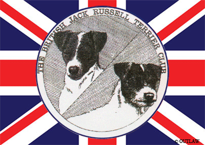 GIF british - animated GIF on GIFER