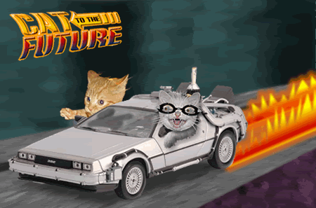 GIF back to the future - animated GIF on GIFER