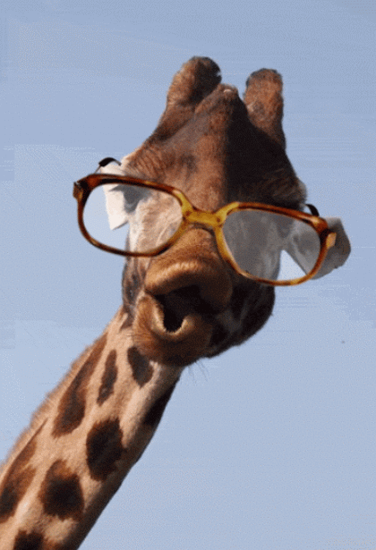 Control GIF - Find on GIFER