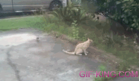 Tag GIF - Find on GIFER