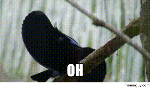Ouch GIF - Find on GIFER