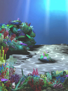 Sea GIF - Find on GIFER