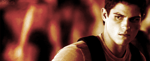 GIF never back down aimable film - GIF animé sur GIFER