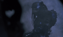 GIF predator movie misc - animated GIF on GIFER