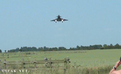 I bet GIF - Find on GIFER