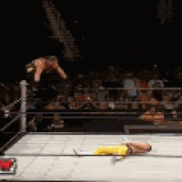 Elimination chamber GIF - Find on GIFER