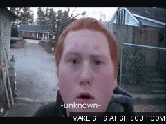Ginger GIF - Find on GIFER