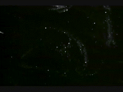 Outer space GIF - Find on GIFER