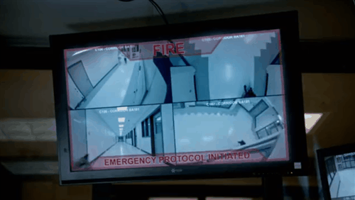 Prison break GIF - Find on GIFER