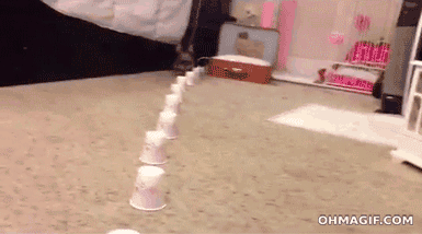 GIF skills - animated GIF on GIFER