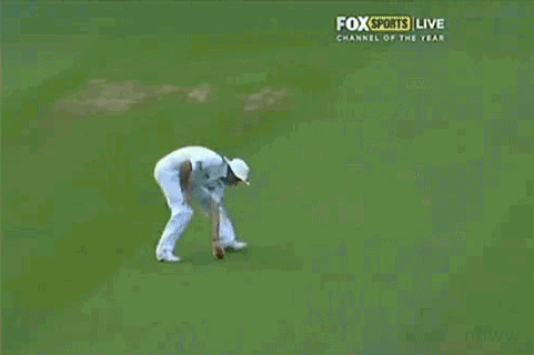 Guy sunglasses cricket GIF - Find on GIFER