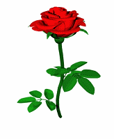 Rose Find On Er