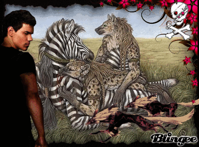 Make me choose GIF - Find on GIFER