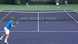 Tennis 2014 roger federer GIF - Find on GIFER