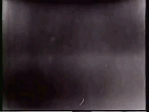 Cbs television vintage GIF - Find on GIFER