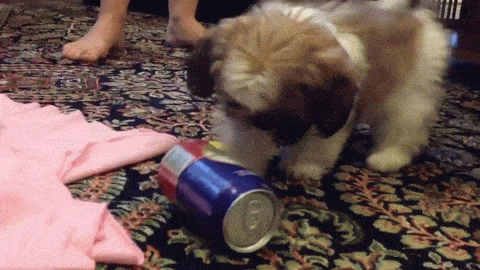 From Best Friends To Lovers: 19 TV Friendships That Turned Romantic ...