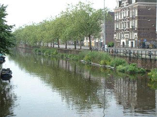 Amsterdam GIF - Find on GIFER