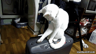 GIF closed - animated GIF on GIFER