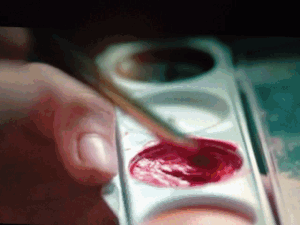 GIF the runaways - animated GIF on GIFER