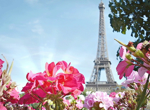 Paris GIF - Find on GIFER