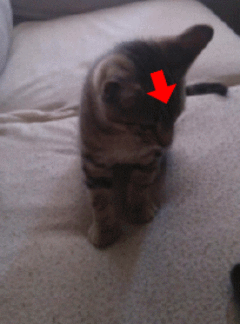 Op GIF - Find on GIFER