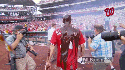 GIF mysterious - animated GIF on GIFER