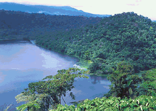 Country GIF - Find on GIFER
