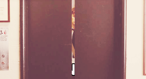 GIF season 1 episode 12 sideshow bob - animated GIF on GIFER