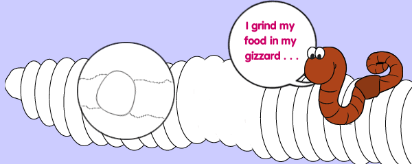 GIF like - animated GIF on GIFER