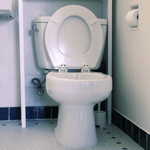 Toilet GIF - Find on GIFER