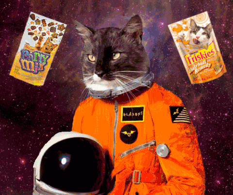 GIF outer space - animated GIF on GIFER