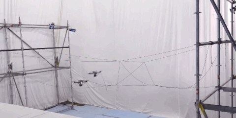 GIF bridge - animated GIF on GIFER