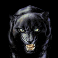 Black panther GIF - Find on GIFER
