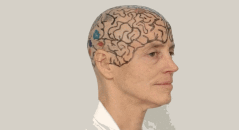 Professor GIF - Find on GIFER