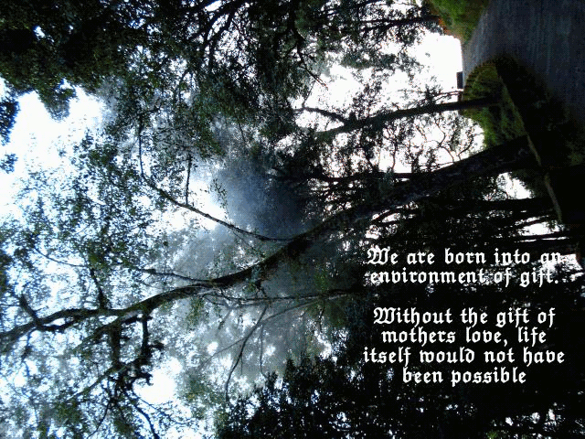 Resources GIF - Find on GIFER