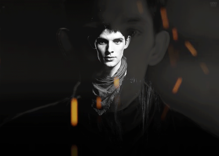 GIF merlin - animated GIF on GIFER