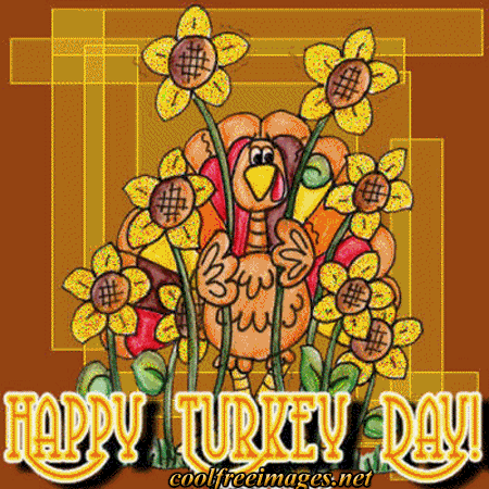 Turkey day GIF - Find on GIFER