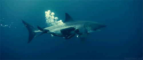 Sea GIF - Find on GIFER