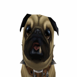 Pug GIF - Find on GIFER