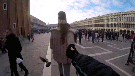 Follow GIF - Find on GIFER