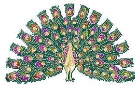 India GIF - Find on GIFER