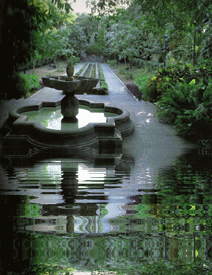 Puerto rico GIF - Find on GIFER